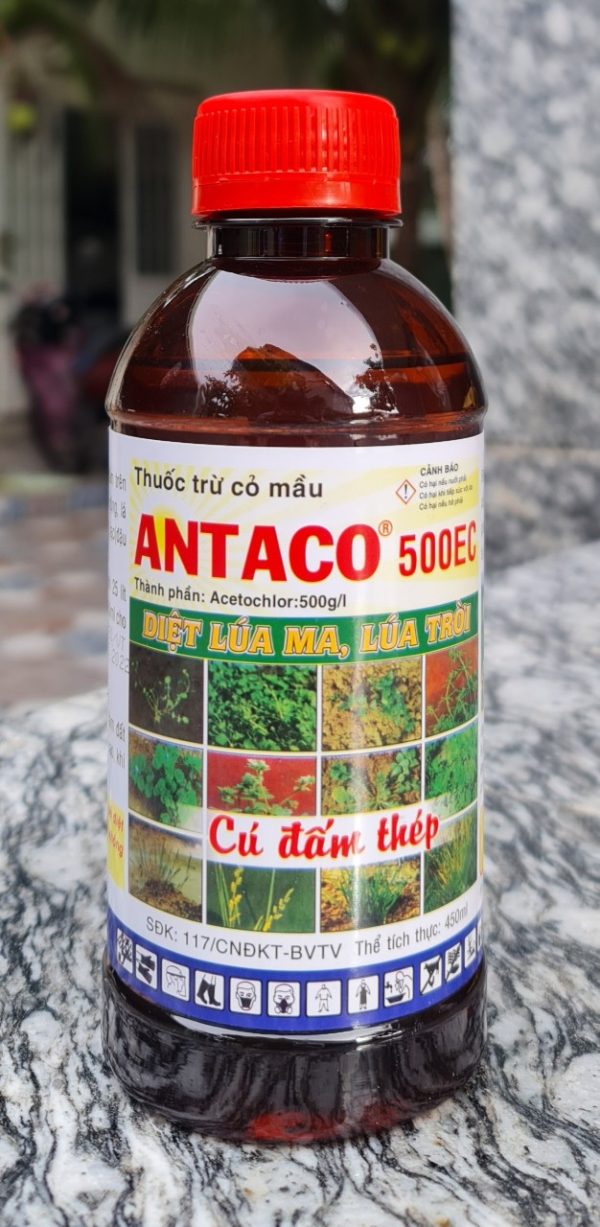 Antaco 500EC - Cú Đấm Thép