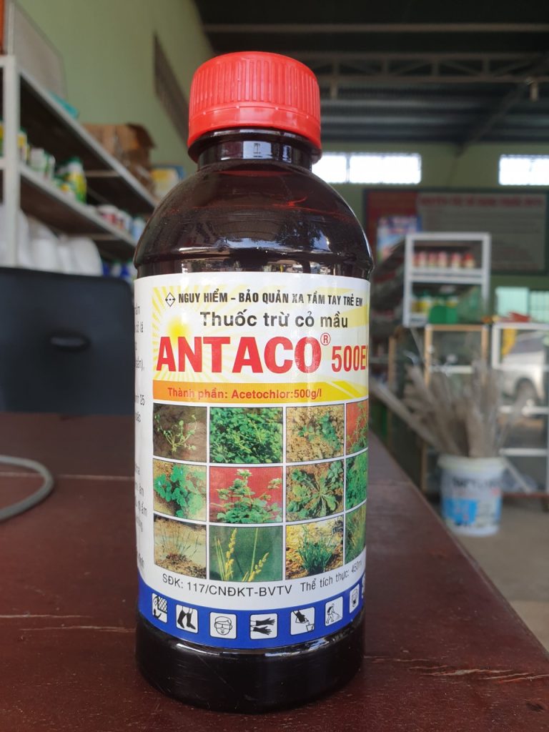 Antaco 500EC - Cú Đấm Thép