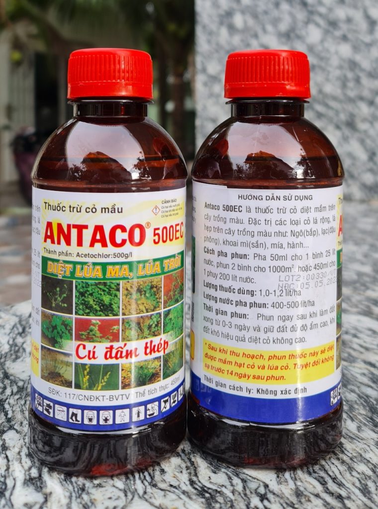 Antaco 500EC - Cú Đấm Thép